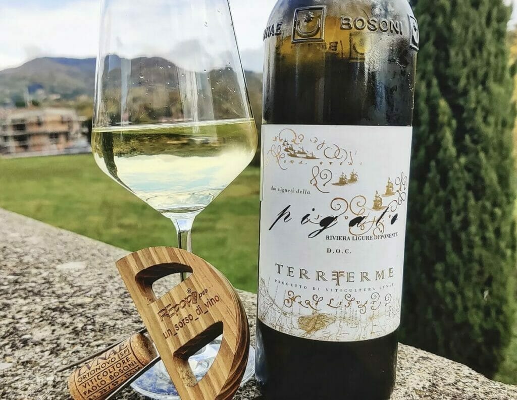 Il vino Pigato Terre Ferme della Cantina Lunae Bosoni