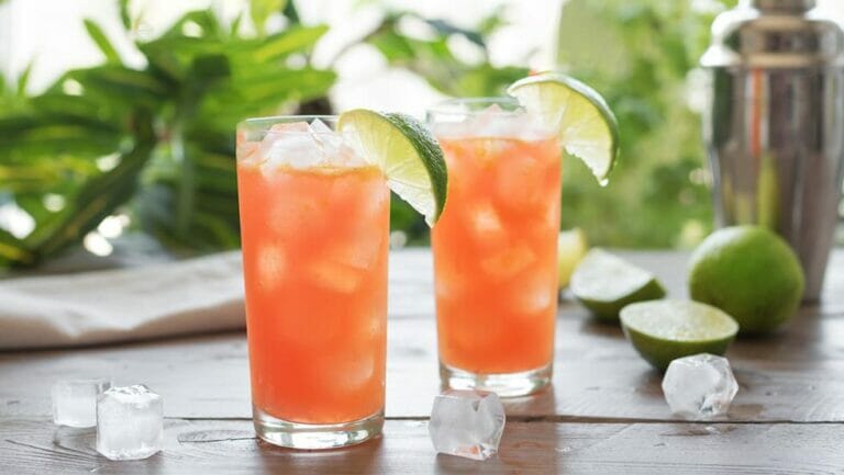 Rum Punch Day: 3 curiosità sul Punch, il cocktail più antico
