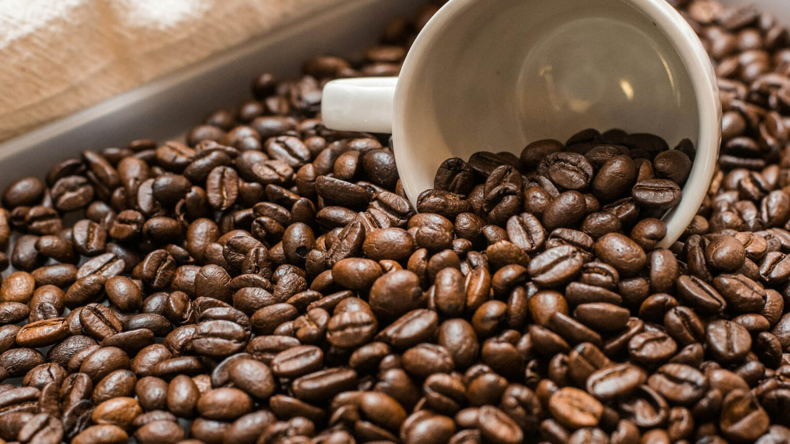 Caffè decaffeinato: la guida completa